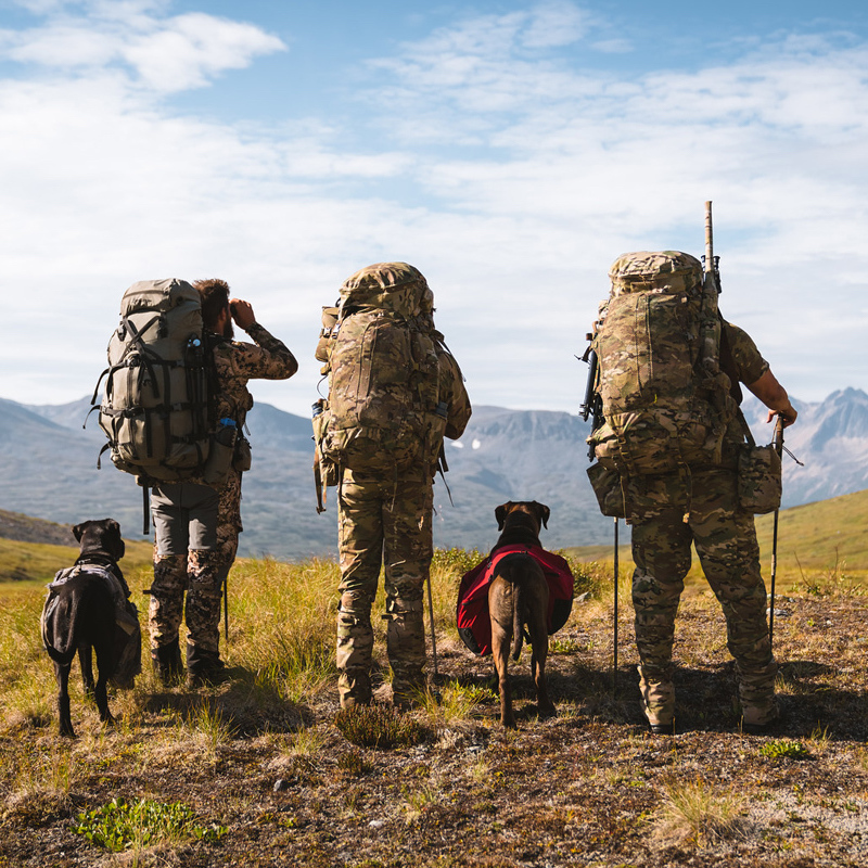 Discover and Book with Venku